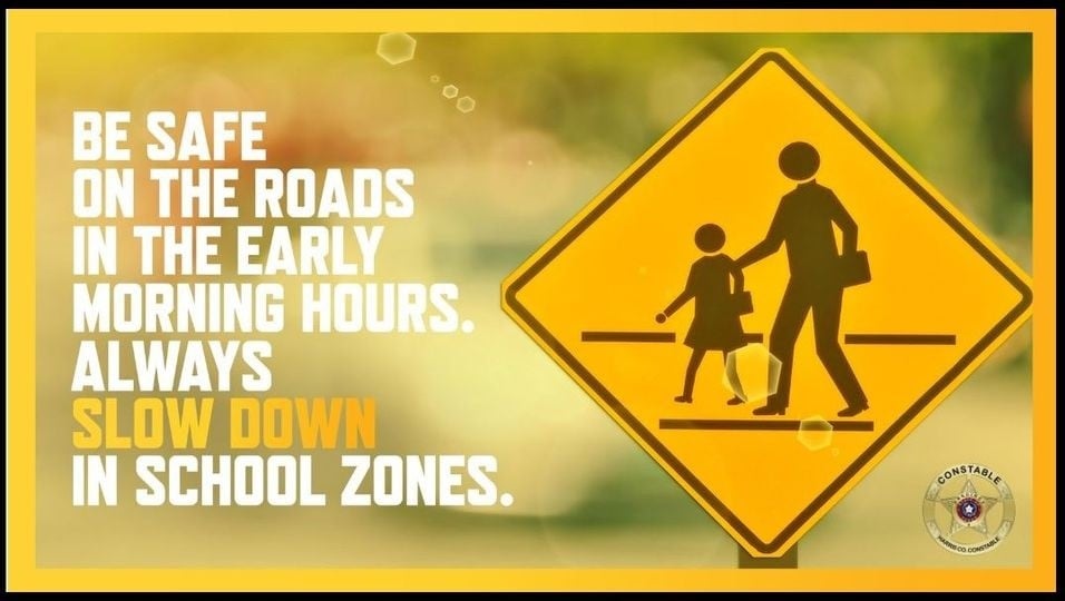 Road Safety: Protecting Students on Their Way to School